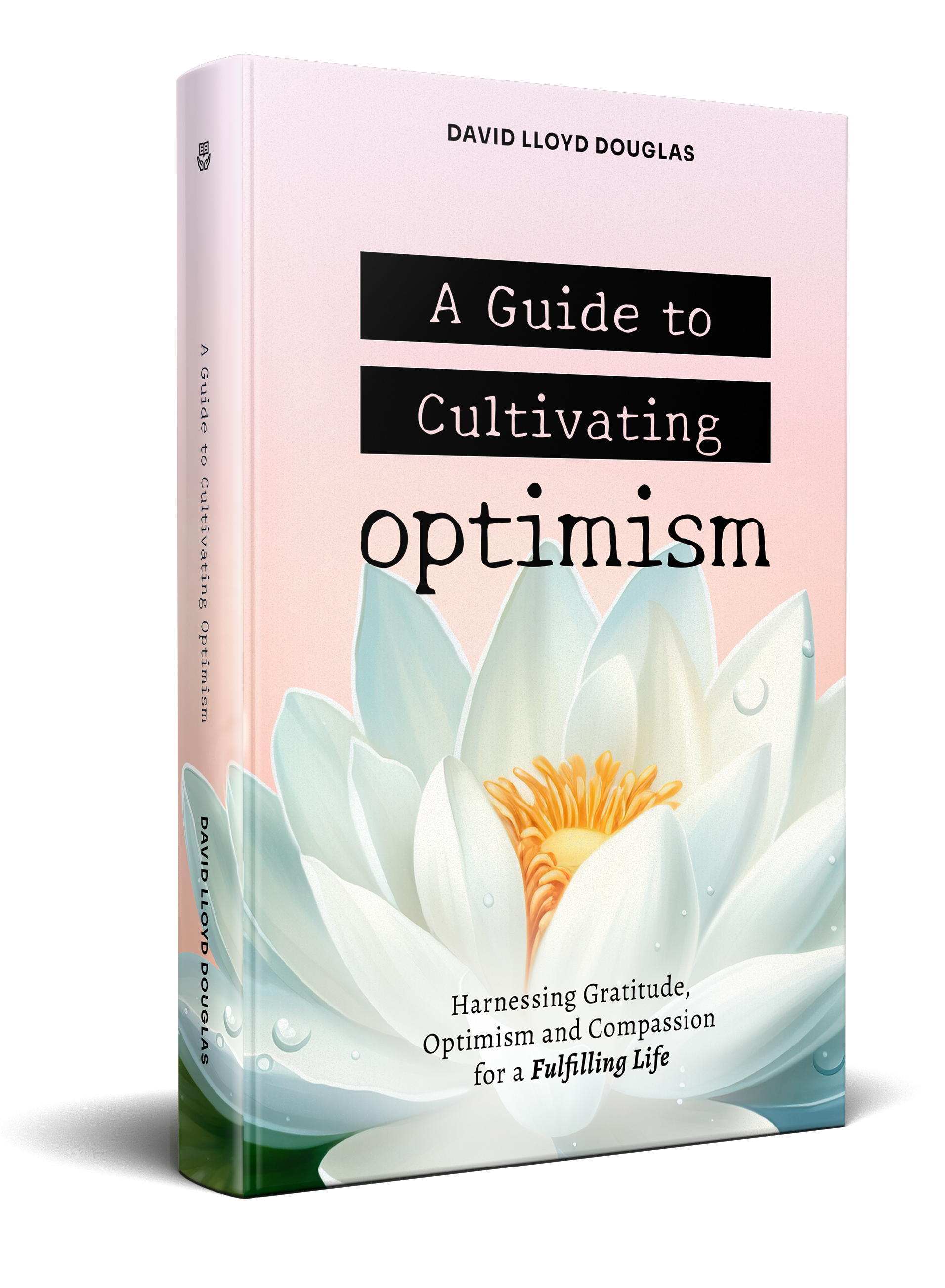 A Guide to Cultivating Optimism