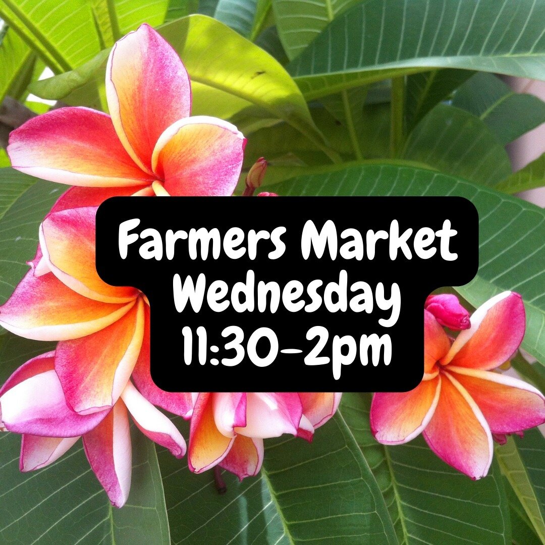 About the Napili Farmers Market — NAPILI FARMERS MARKET