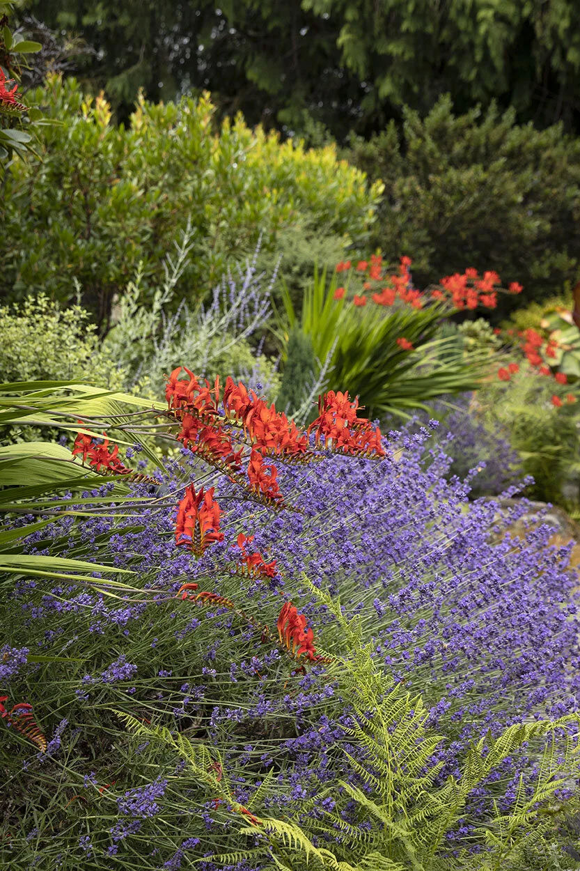 Medina Farmhouse Updated — Spring Greenworks