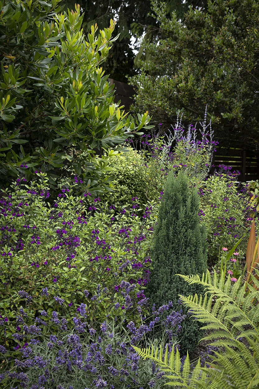 Medina Farmhouse Updated — Spring Greenworks