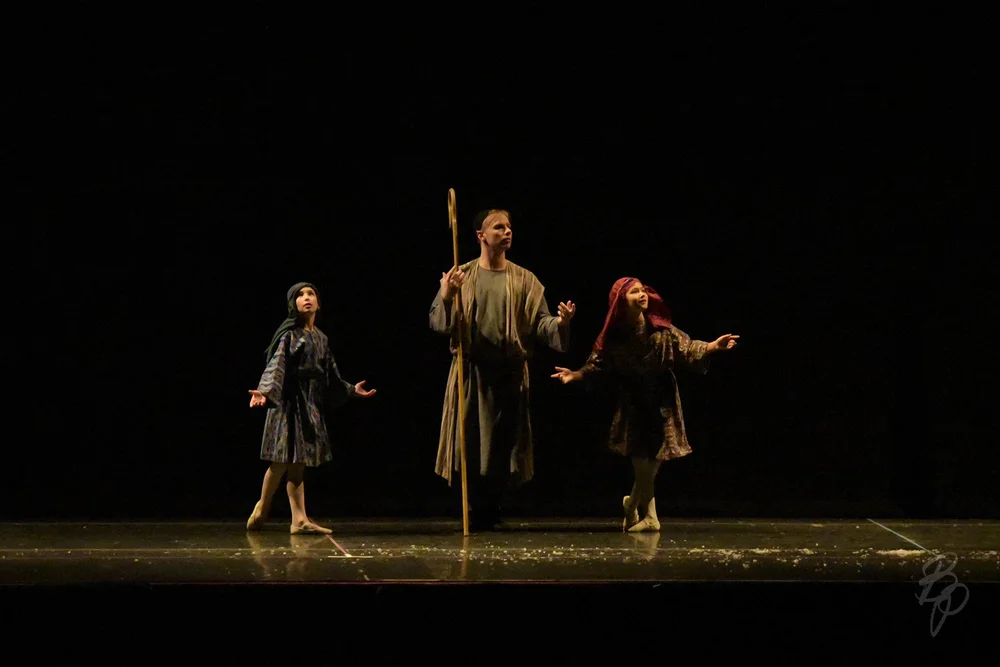 MORE ABOUT BALLET CONCERTO
