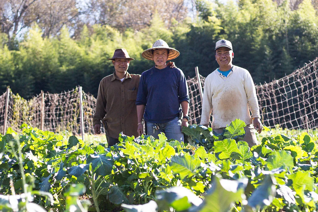 Global Growers