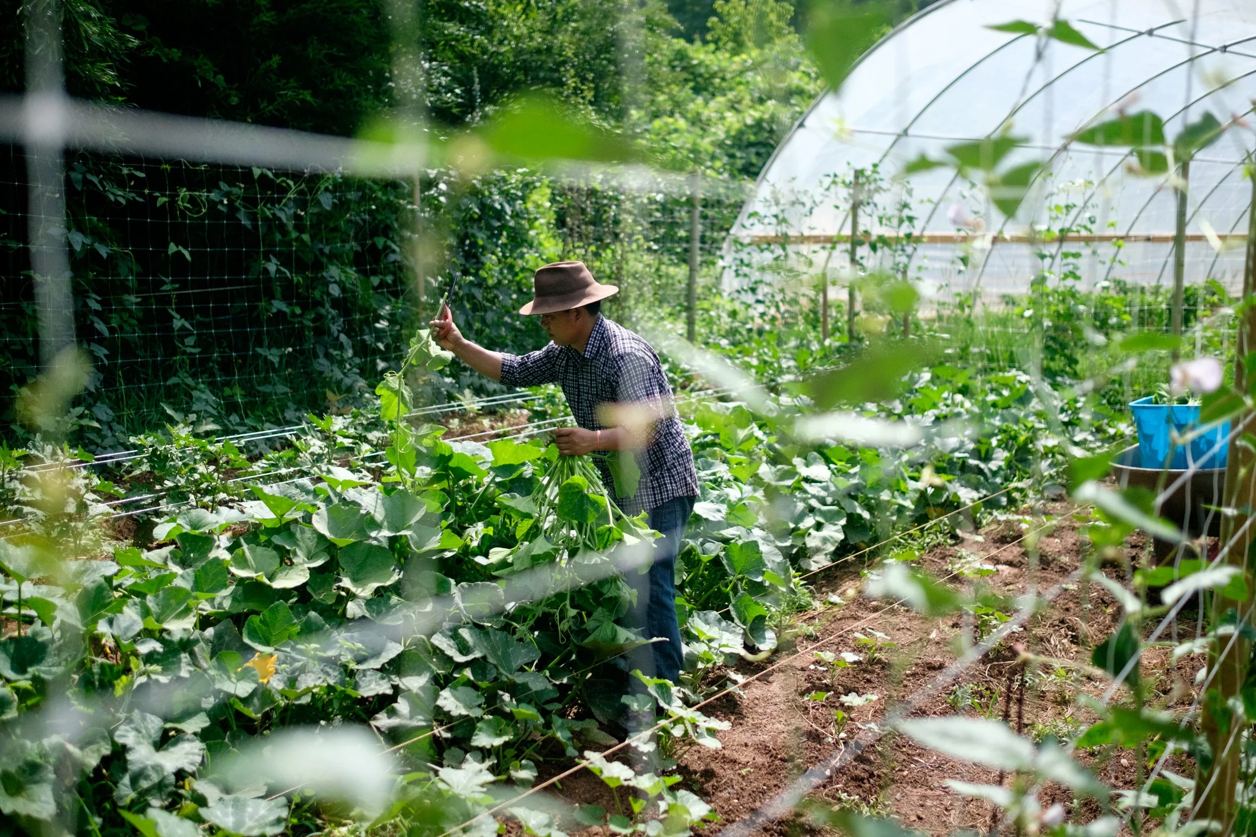 Global Growers