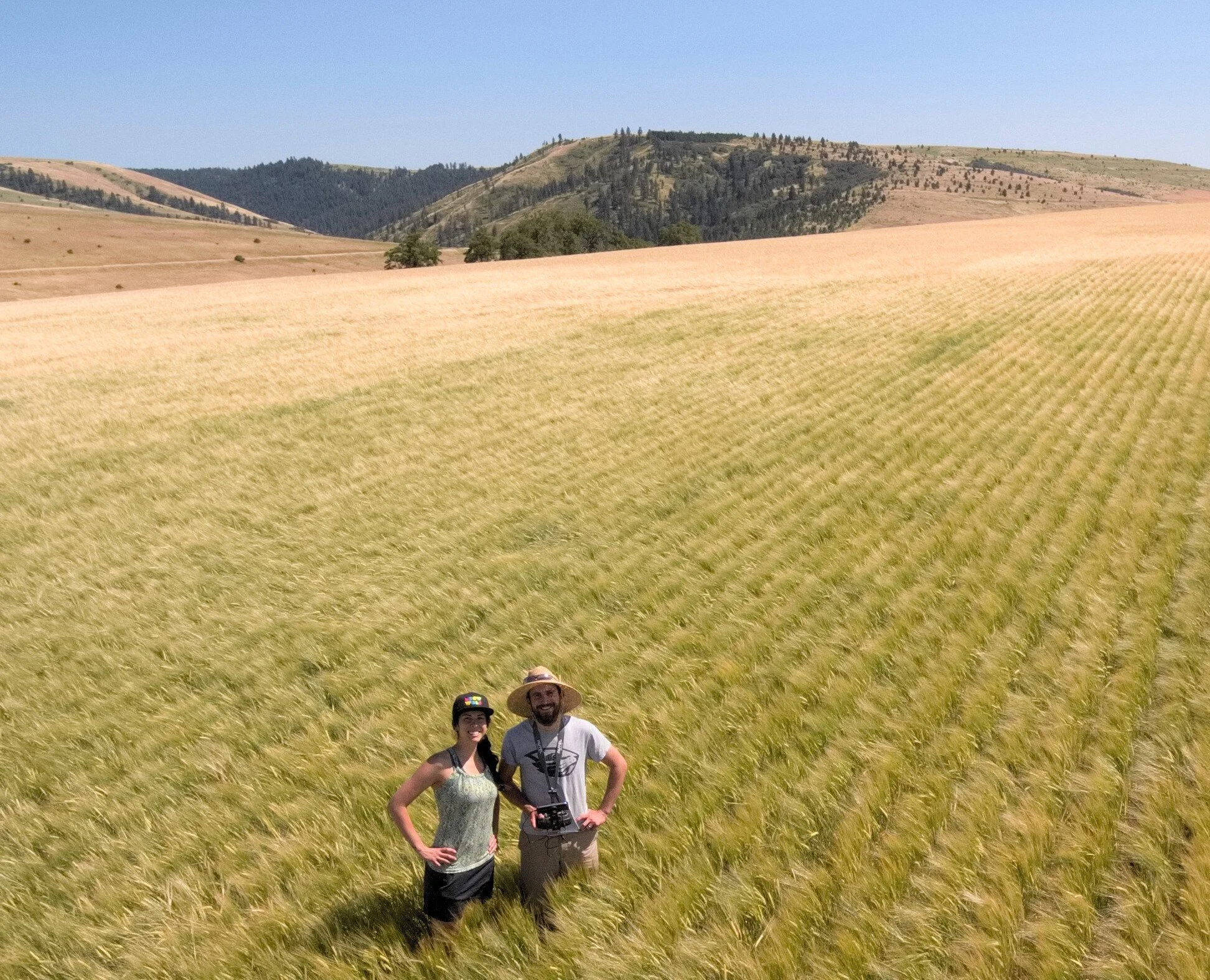 News — MAINSTEM MALT