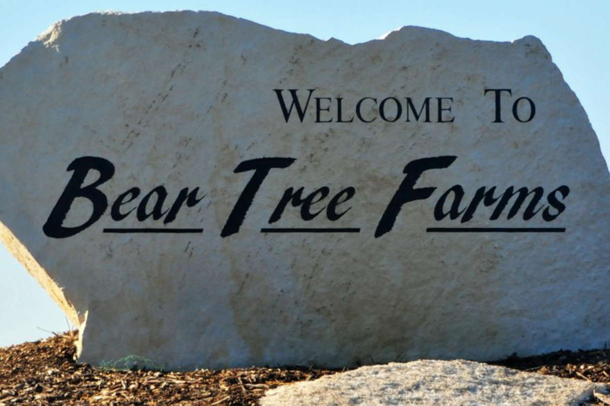 Neighborhoods — Premier Builders Inc.
