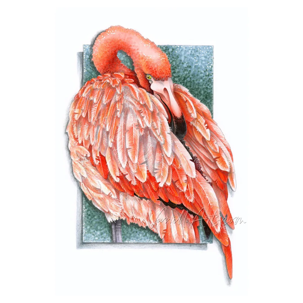 Flamingo Pencil Drawing