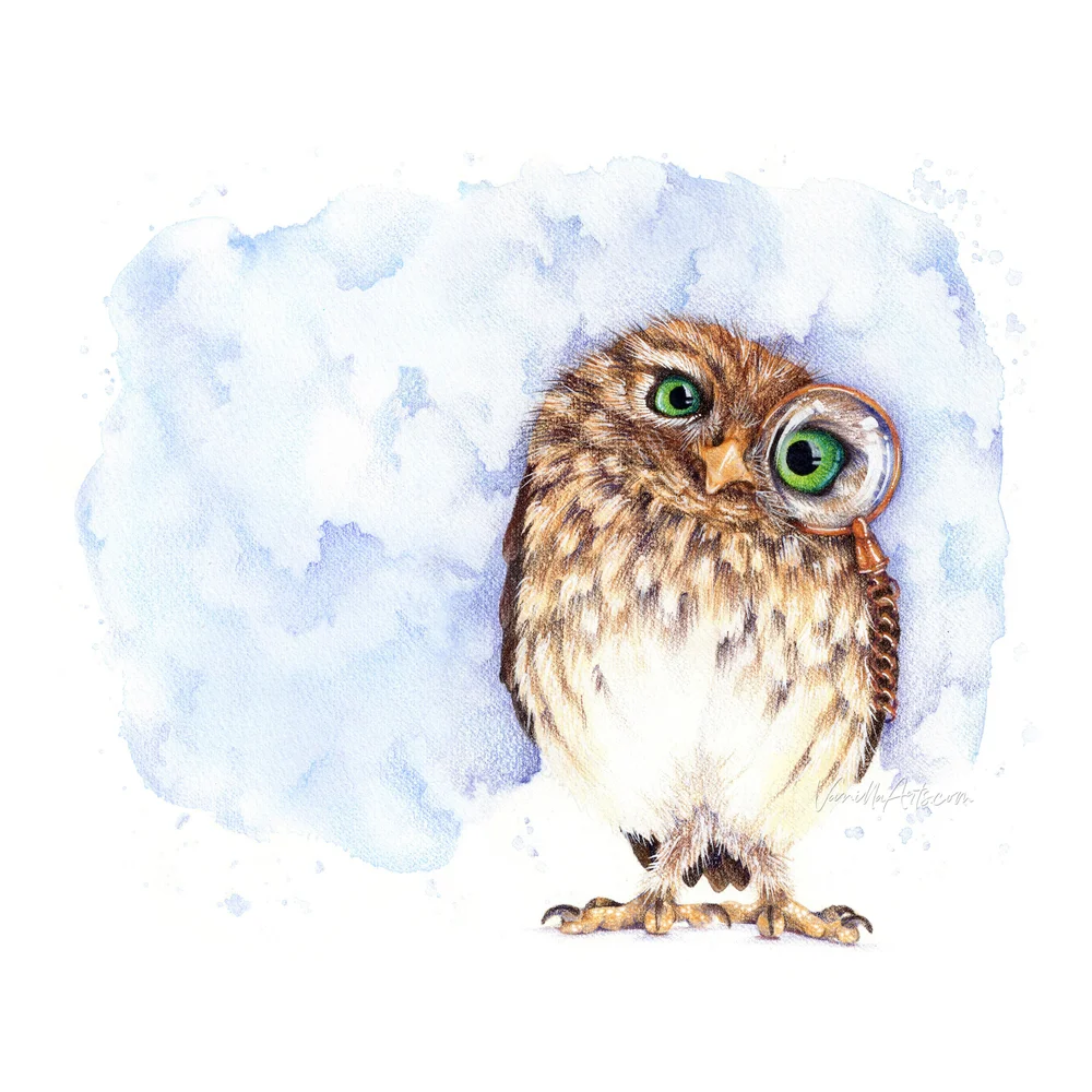 Baby Owl Art