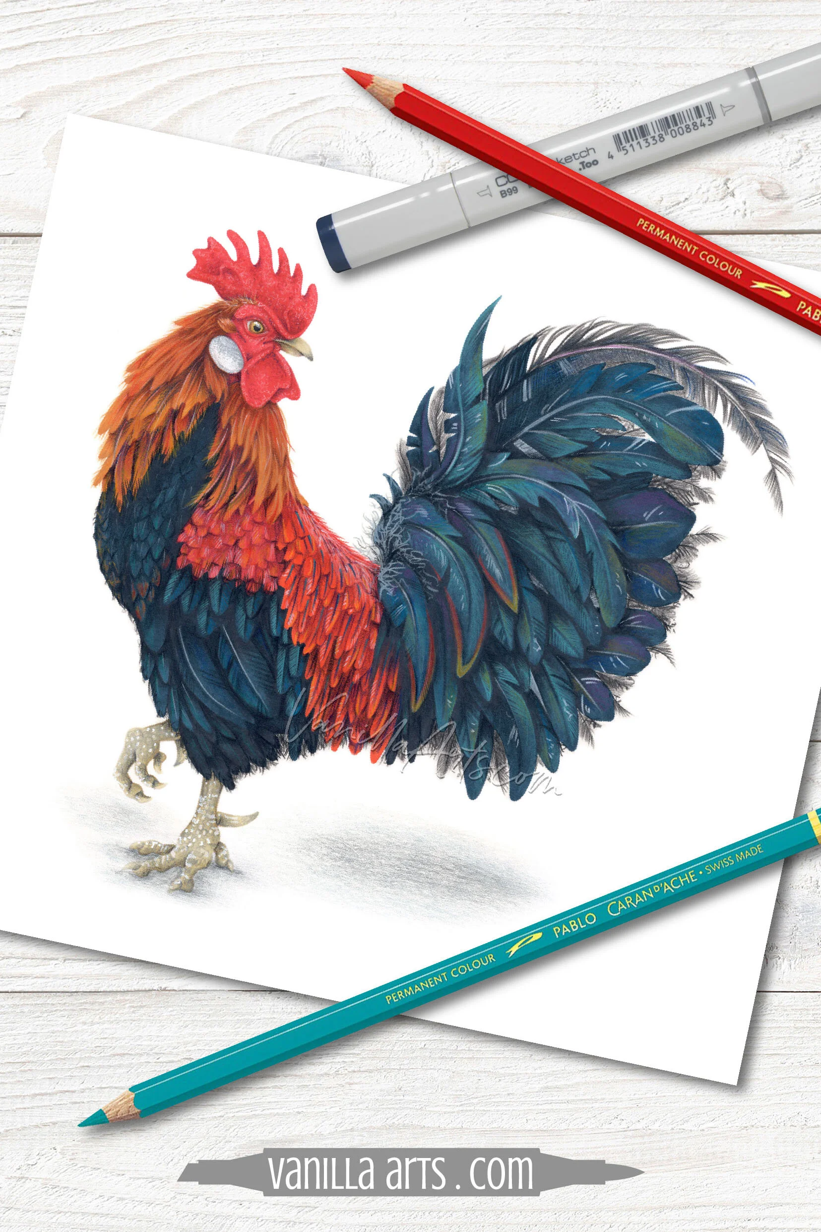 Use What You Learn: Color a Feathery Rooster with Copic Marker ...