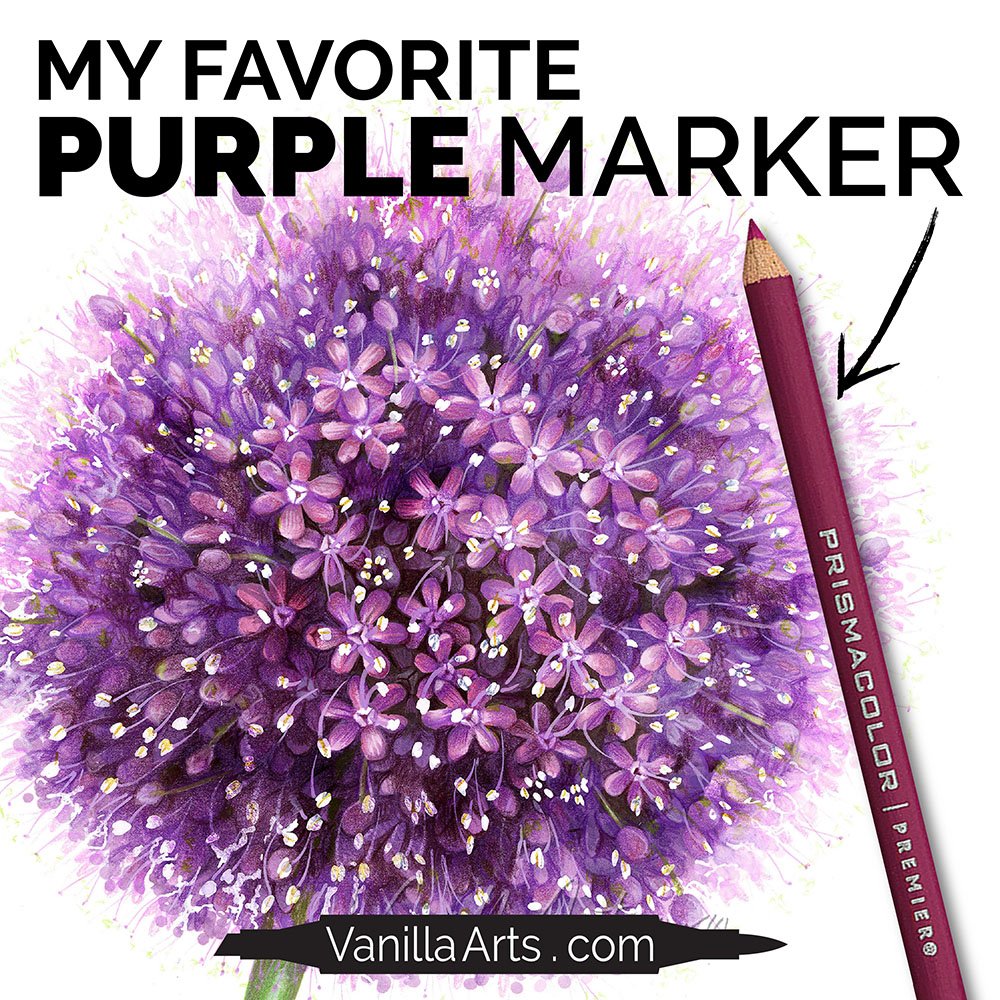 Purple Alcohol Markers: You Need This Colored Pencil for Purple Success ...