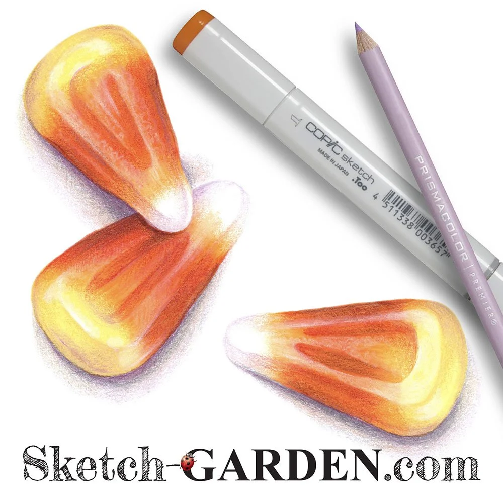 Simple Steps for Realism: Marker + Colored Pencil — Vanilla Arts Co.