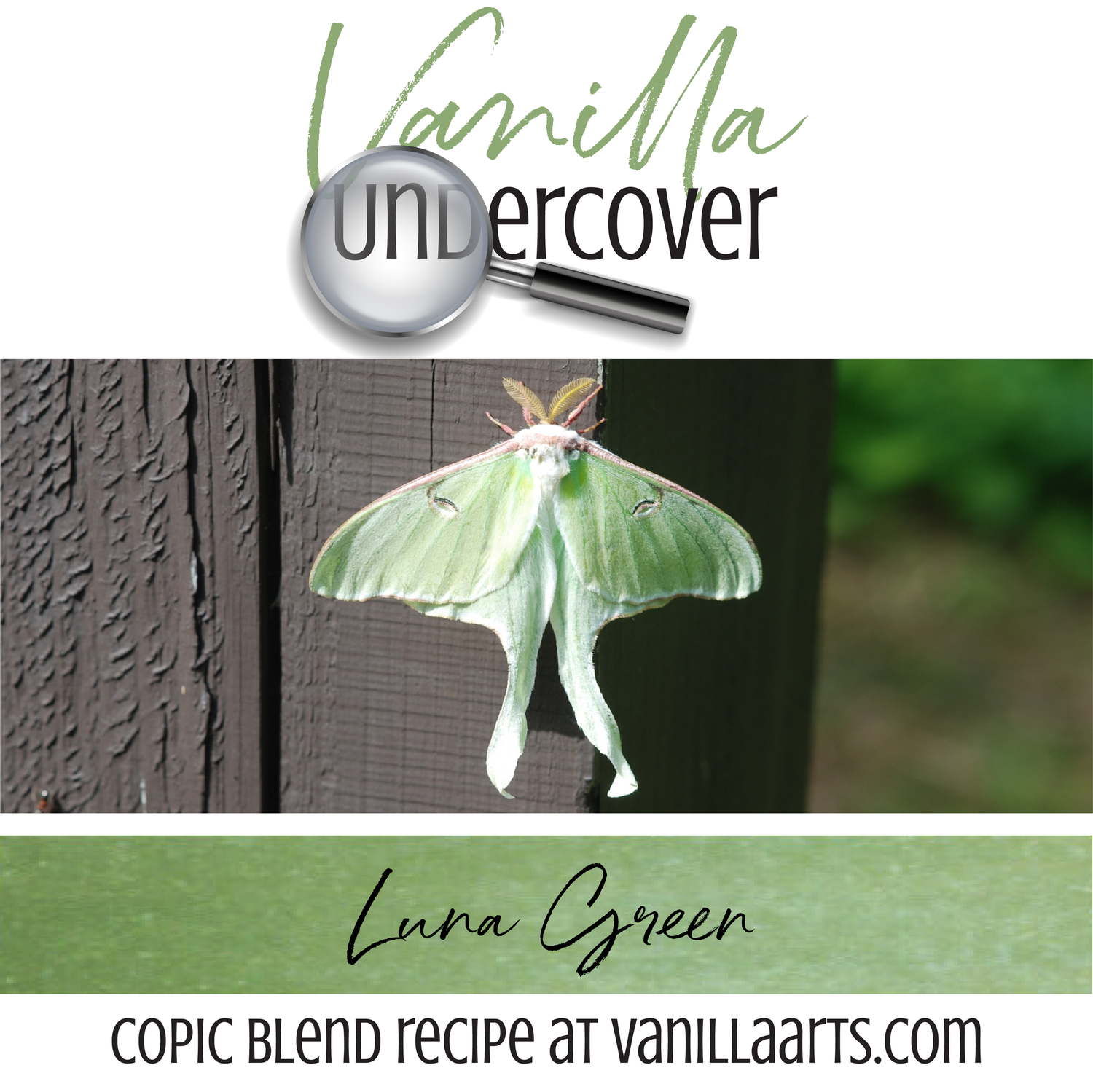 Vanilla Undercover: Underpaint with Copic Markers for Beautiful Realism ...