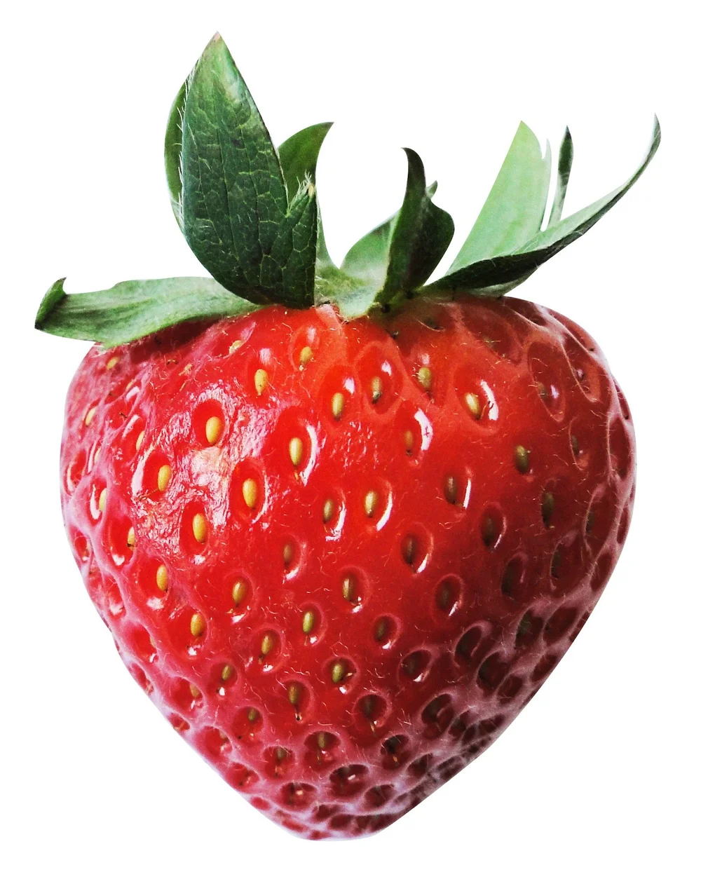 Draw & Color: How to Color a Realistic Strawberry with Copic Marker ...