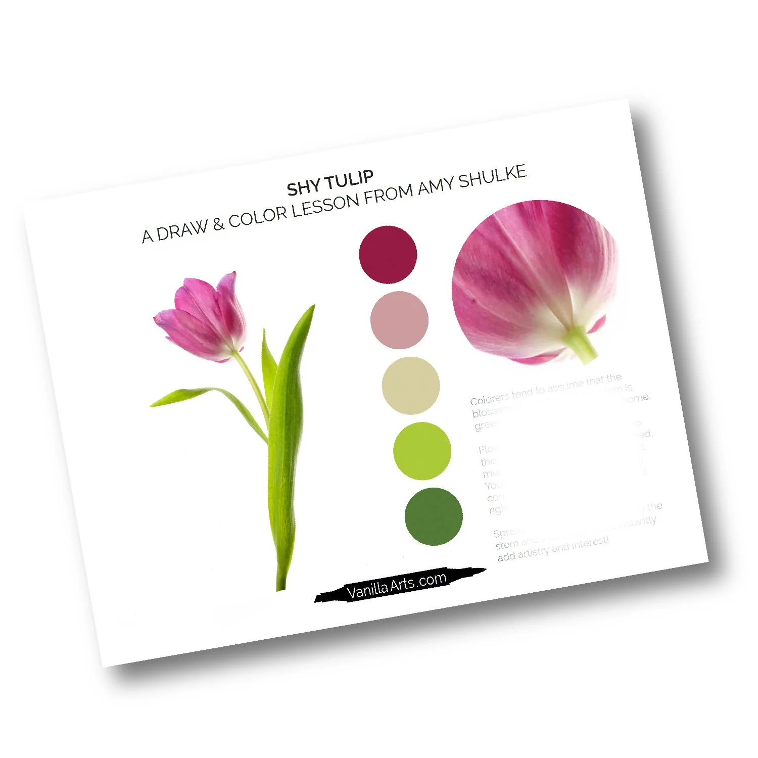 Draw & Color: How to Color Realistic Flowers with Copic Marker (+ Video ...