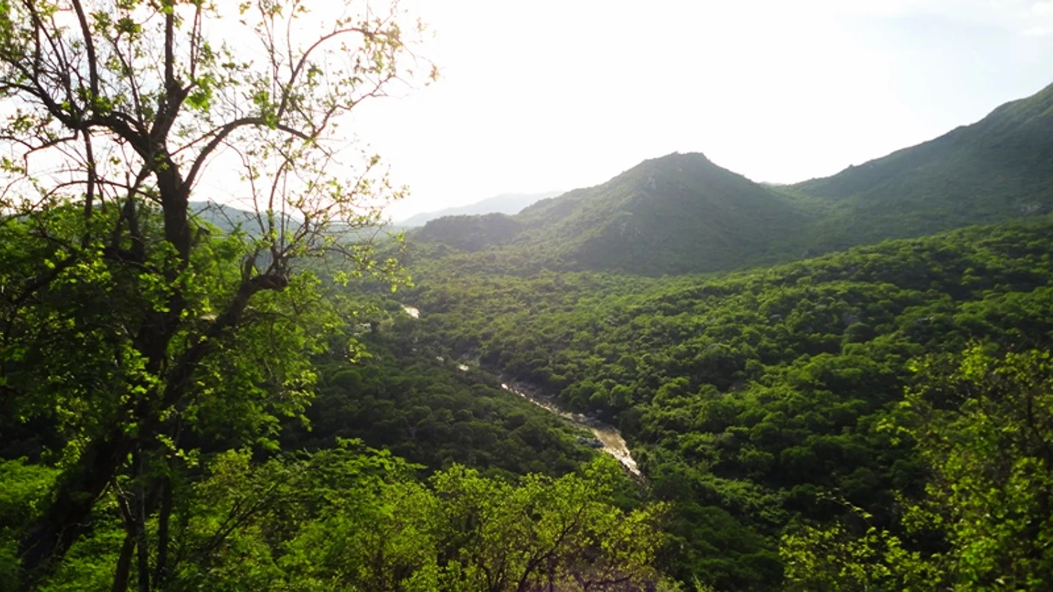 The Overbrook Foundation