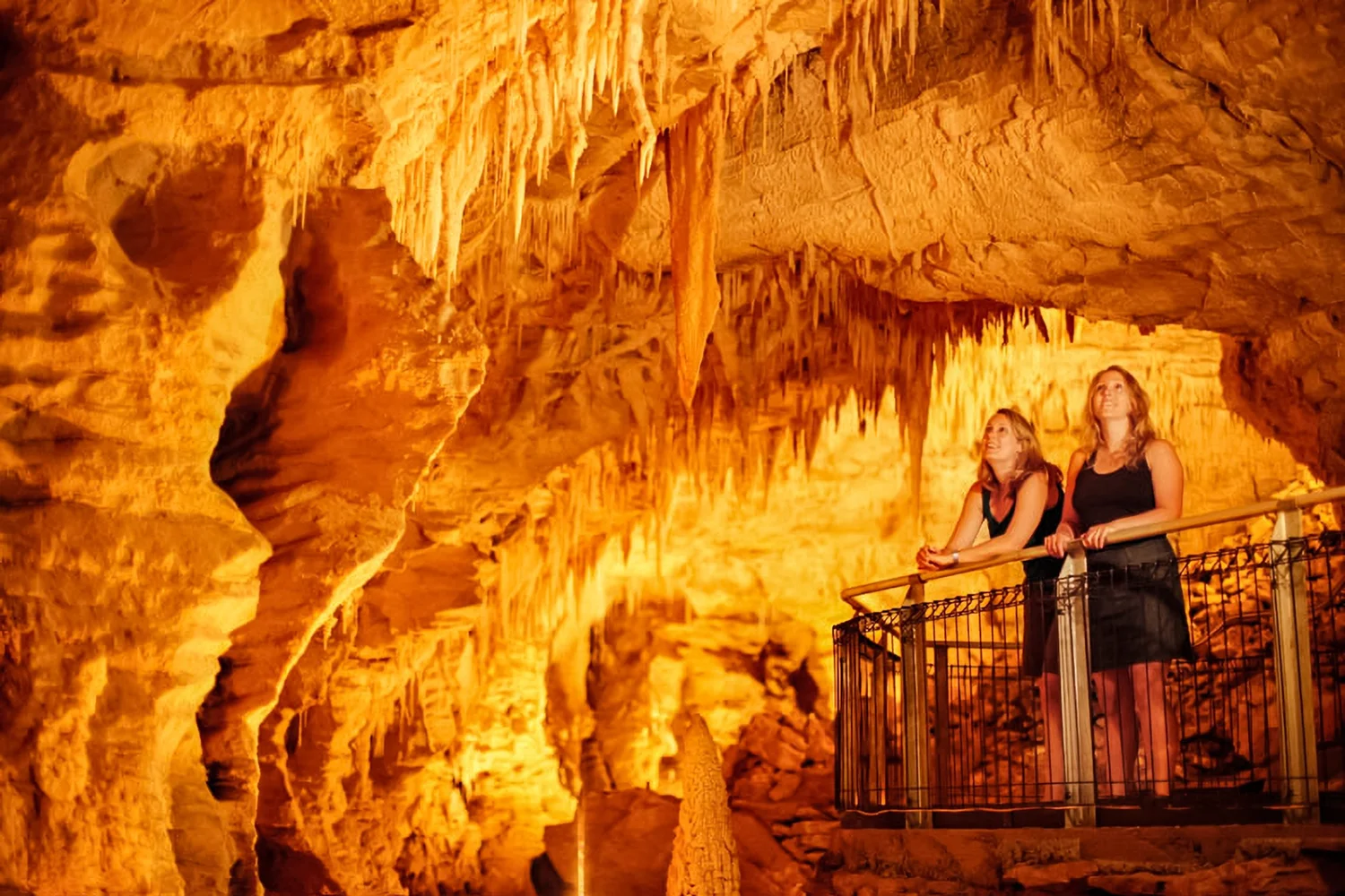 Waitomo Caves: Curated Tours & Activities - Find Your Perfect Match!
