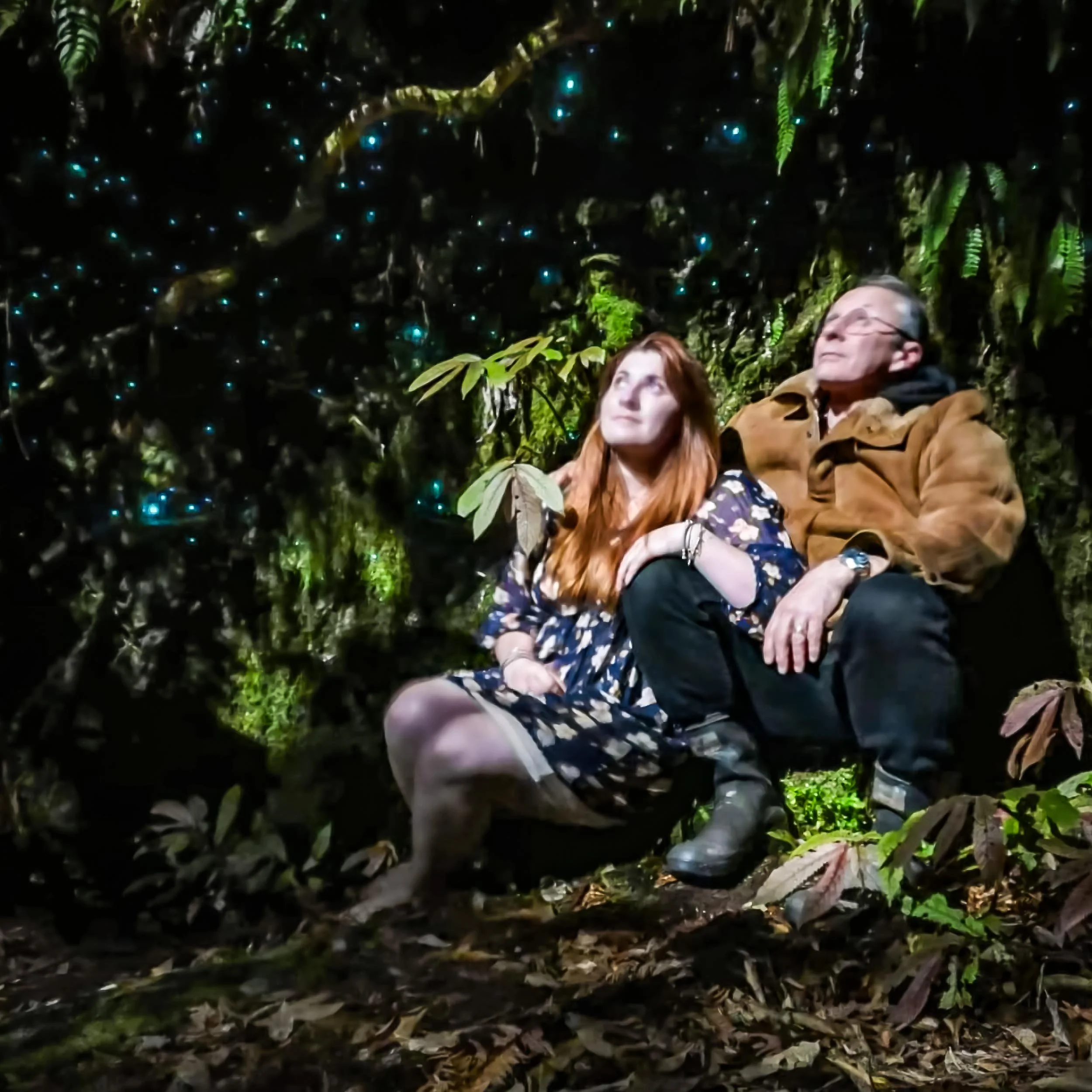 Te Tiro Waitomo Caves Glamping & Self-contained Cottages | Glowworm Grotto