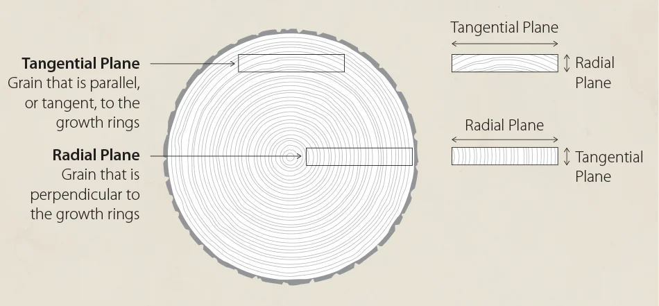 Grain Orientation and Wood Movement, Part 1 — Jeff Lefkowitz Chairmaker