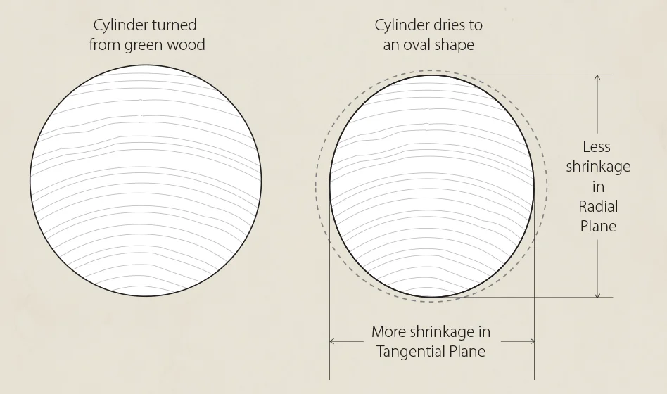 Grain Orientation and Wood Movement, Part 1 — Jeff Lefkowitz Chairmaker