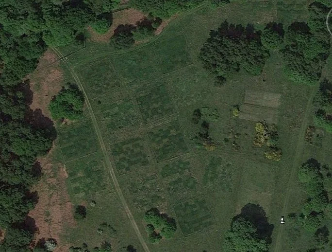 Nash's Field — ECOLOGICAL CONTINUITY TRUST