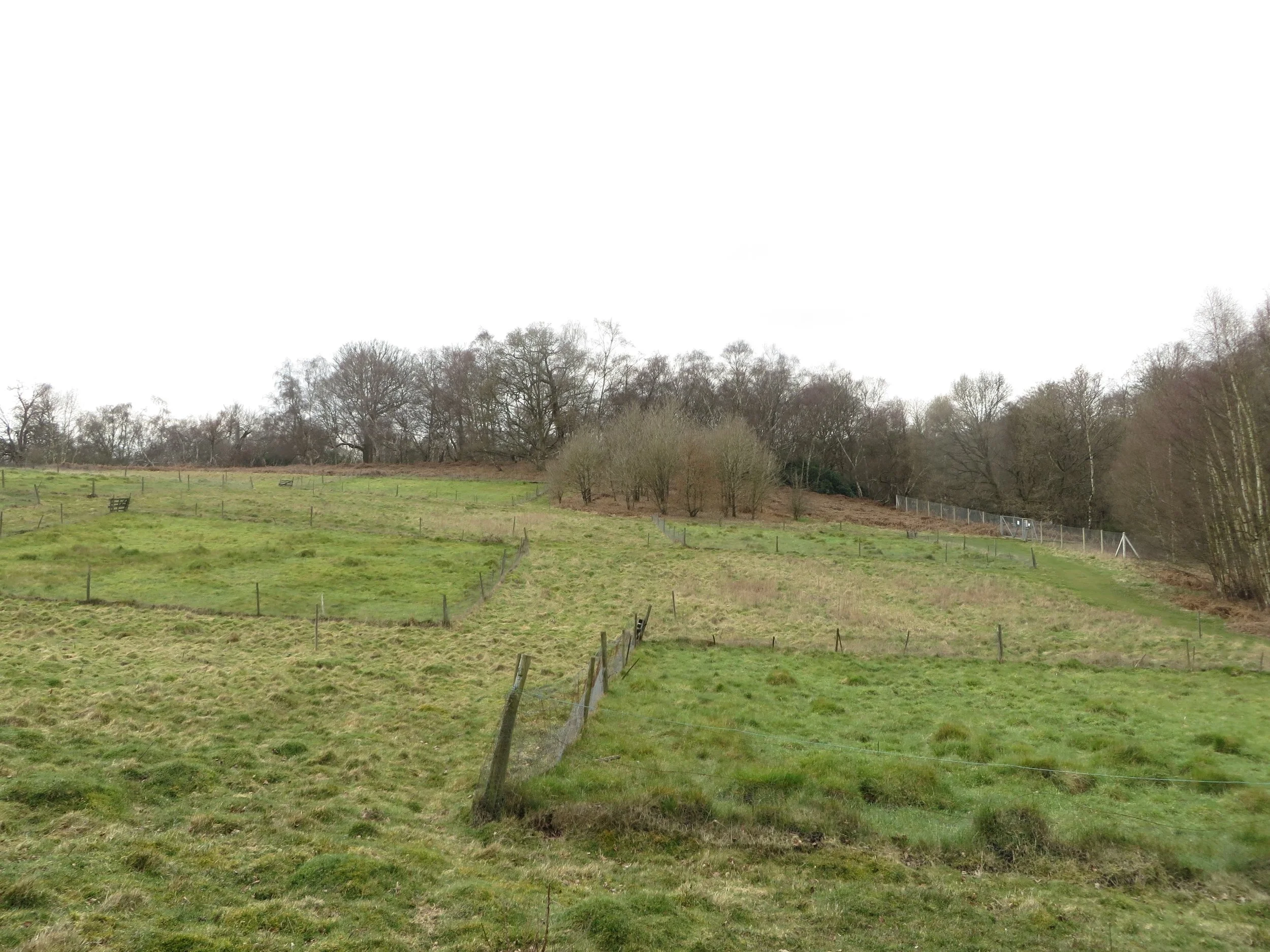 Nash's Field — ECOLOGICAL CONTINUITY TRUST