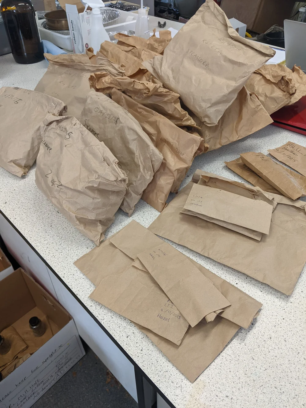 Every day I'm rustling: Crushing leaves in the name of science ...