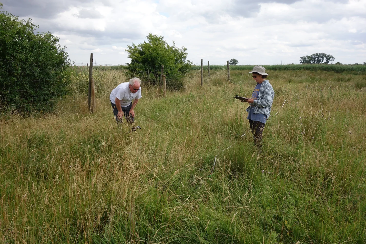 Wicken Fen Long-Term Experiment — ECOLOGICAL CONTINUITY TRUST