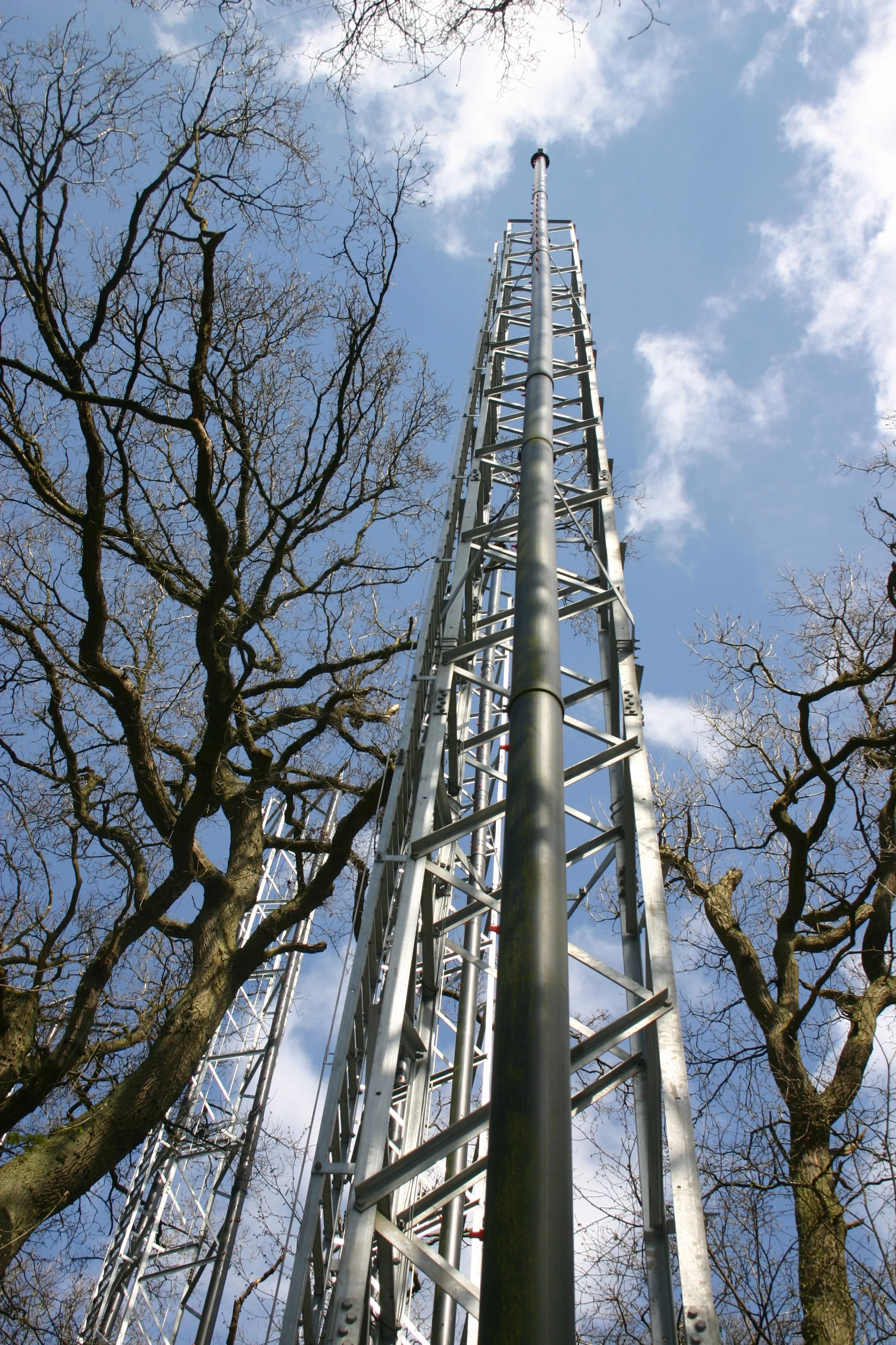 ECT Small Grants Scheme — ECOLOGICAL CONTINUITY TRUST