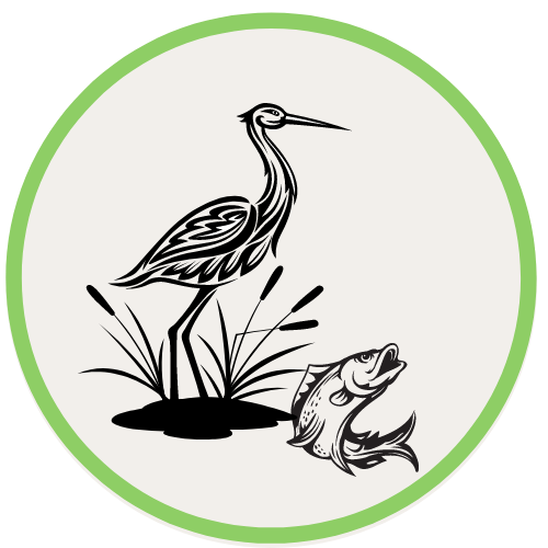 The Plynlimon Catchment Long-Term Experiment — ECOLOGICAL CONTINUITY ...