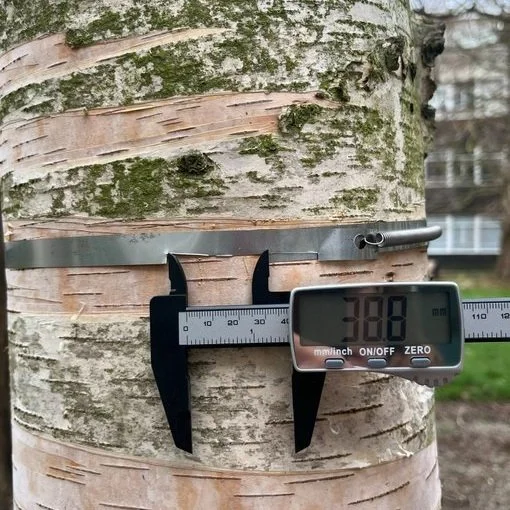 BIFoR-FACE's school science project BIFoR in a Box — ECOLOGICAL ...