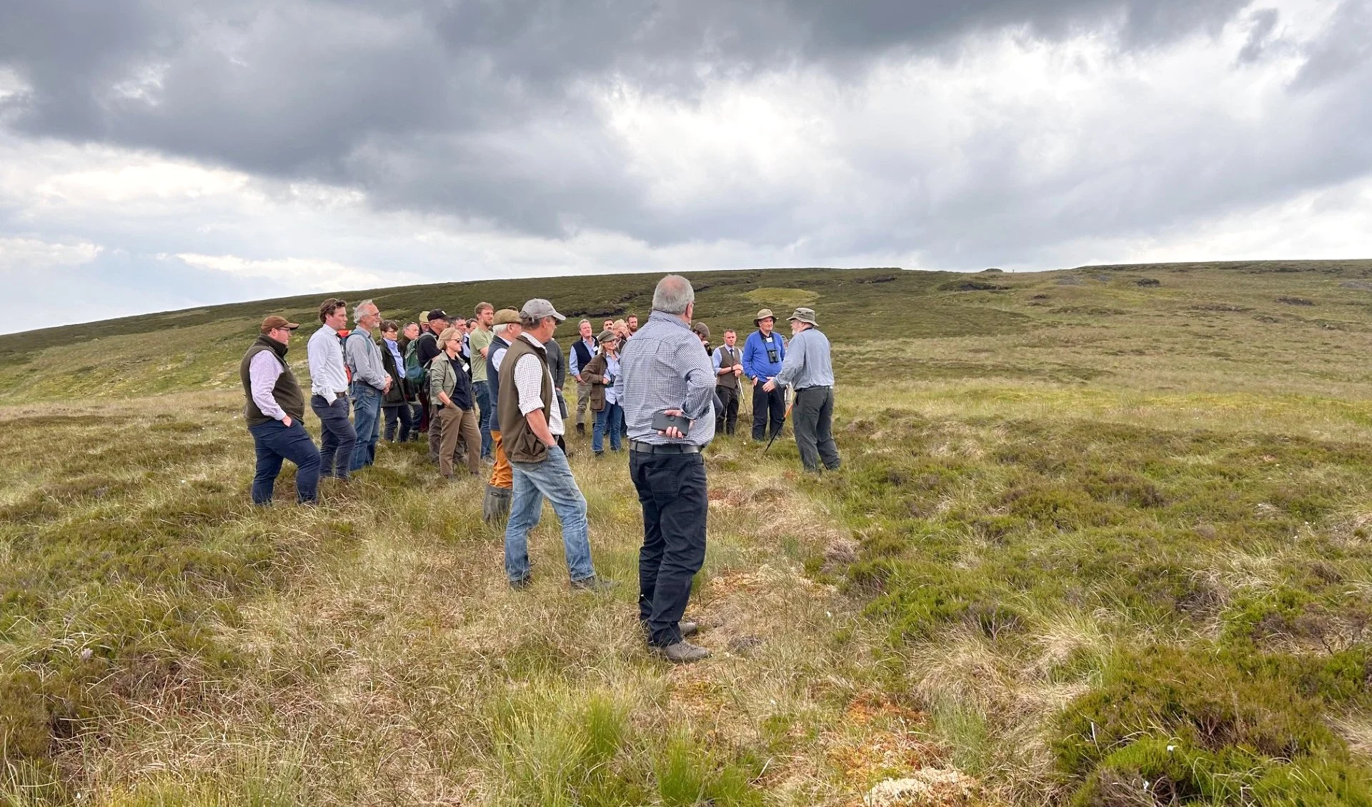 Moor House Mini Conference took place in June 2024 — ECOLOGICAL ...