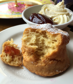 NZ Road Trip Day 3: Lake Taupo / Mt. Doom / Wellington — the snobby foodie