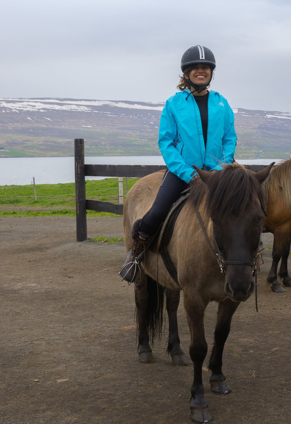 The Icelandic Horse Riding Experience — the snobby foodie