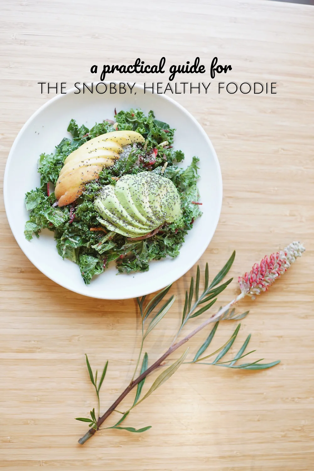 A Practical Guide for the Snobby, Healthy Foodie — the snobby foodie