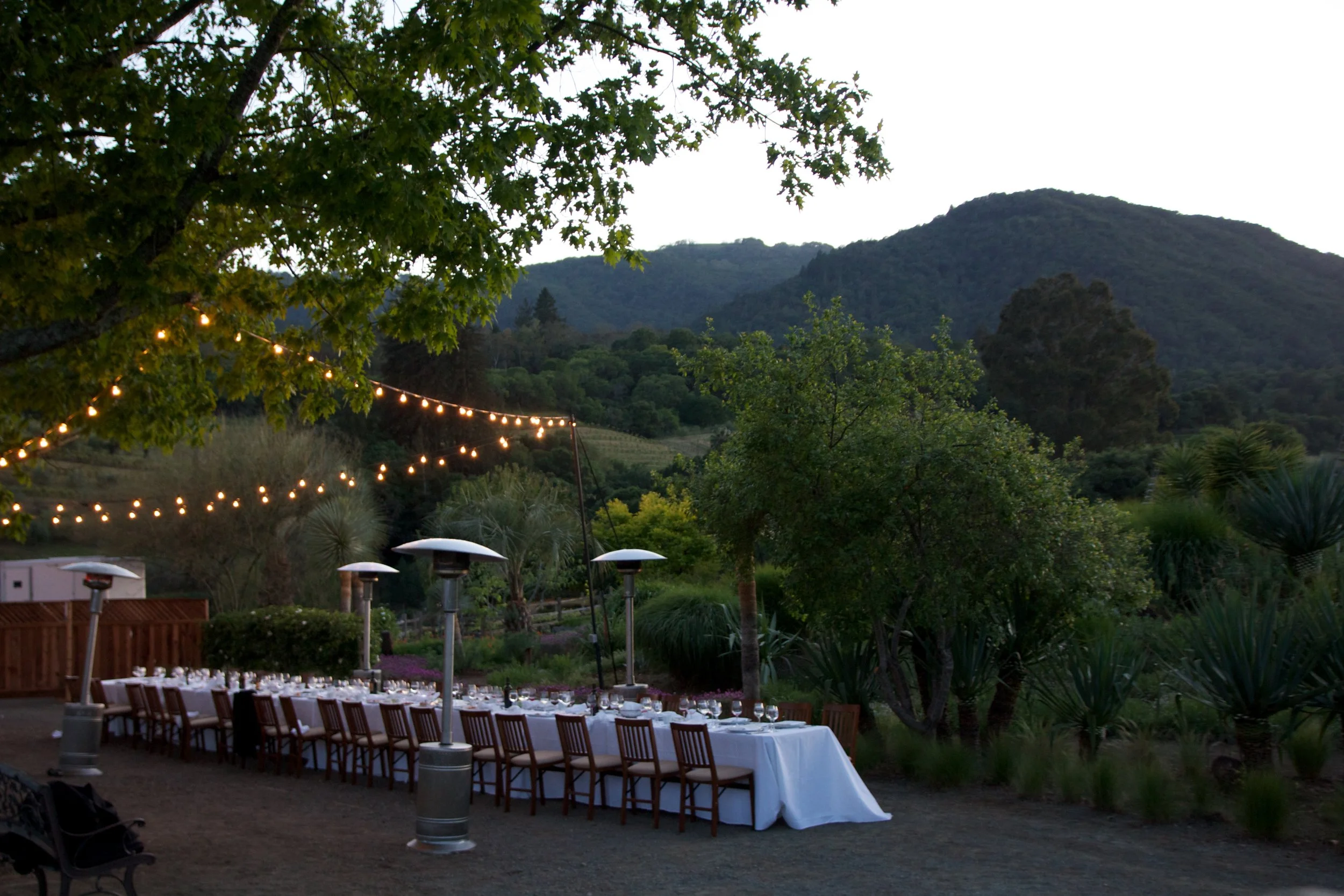 A more sustainable wine: Benziger Family Winery — the snobby foodie