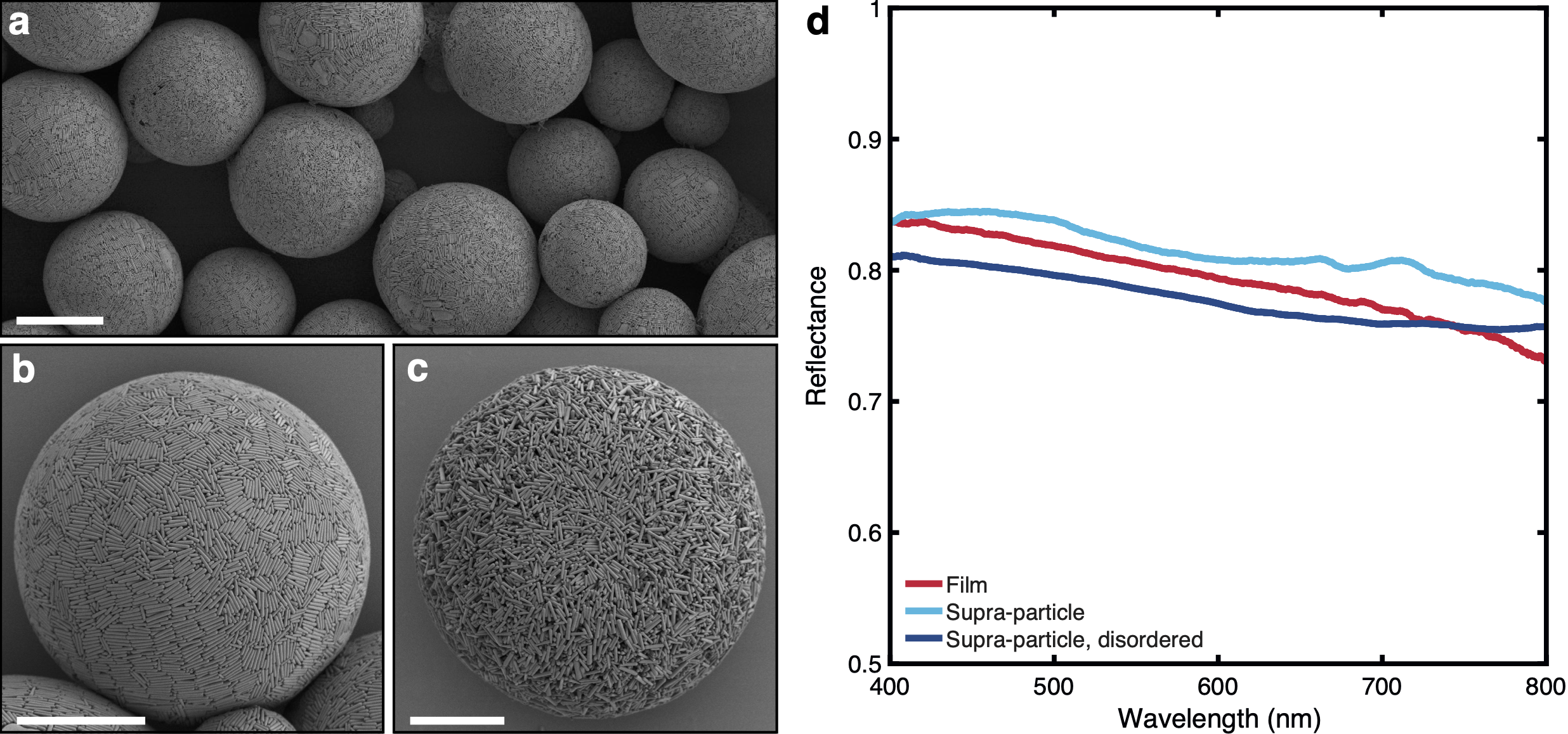 Replacing titanium dioxide as opacifier: consider a shape change — BonLab