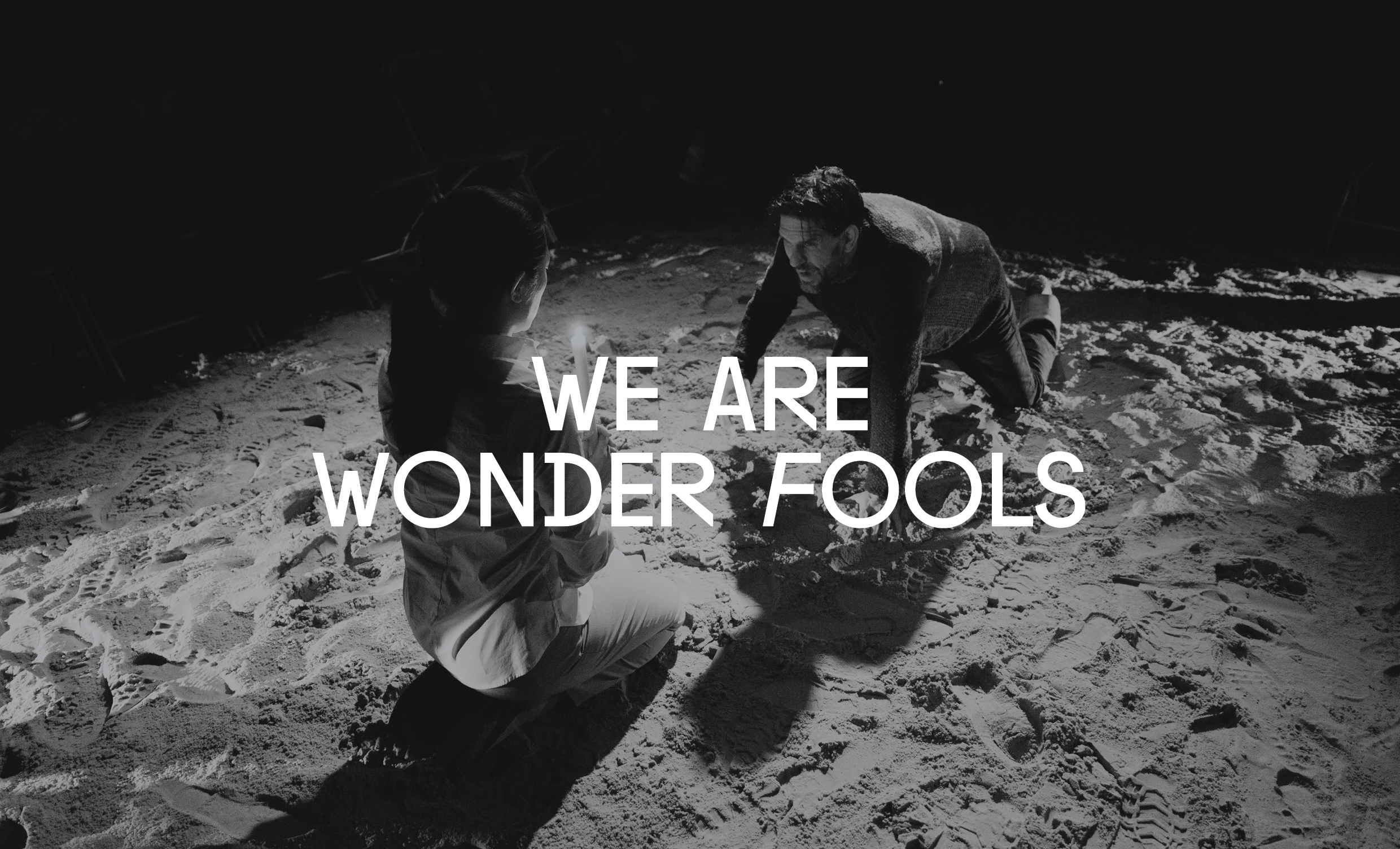Wonder Fools