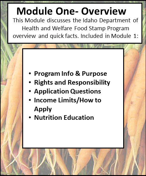 Idaho Food Stamps Income
