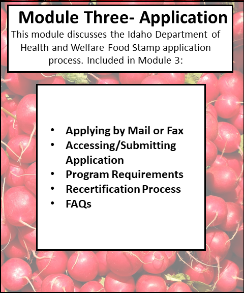 Idaho Food Stamps Income