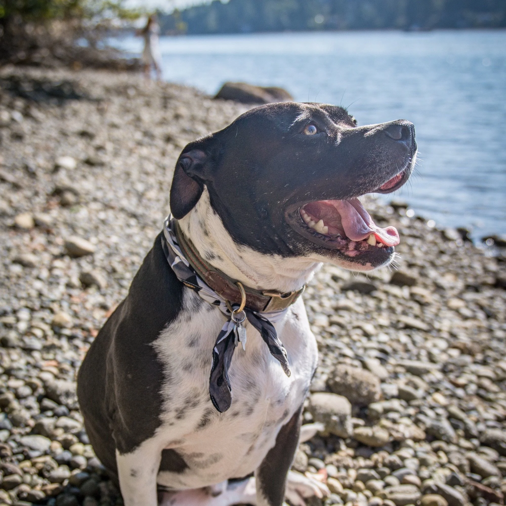 The Team — Nick Mallory