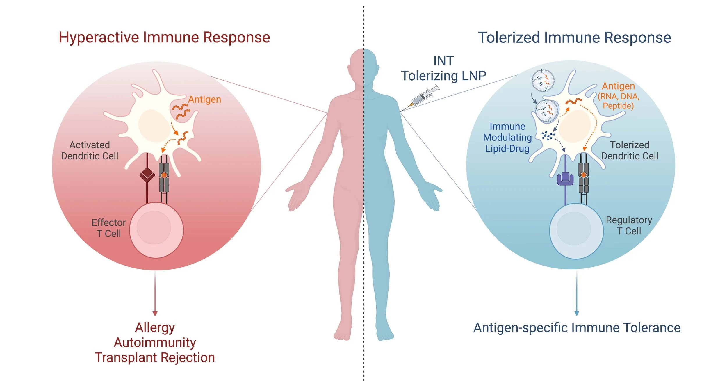 Immune Tolerance Platform — Integrated Nanotherapeutics