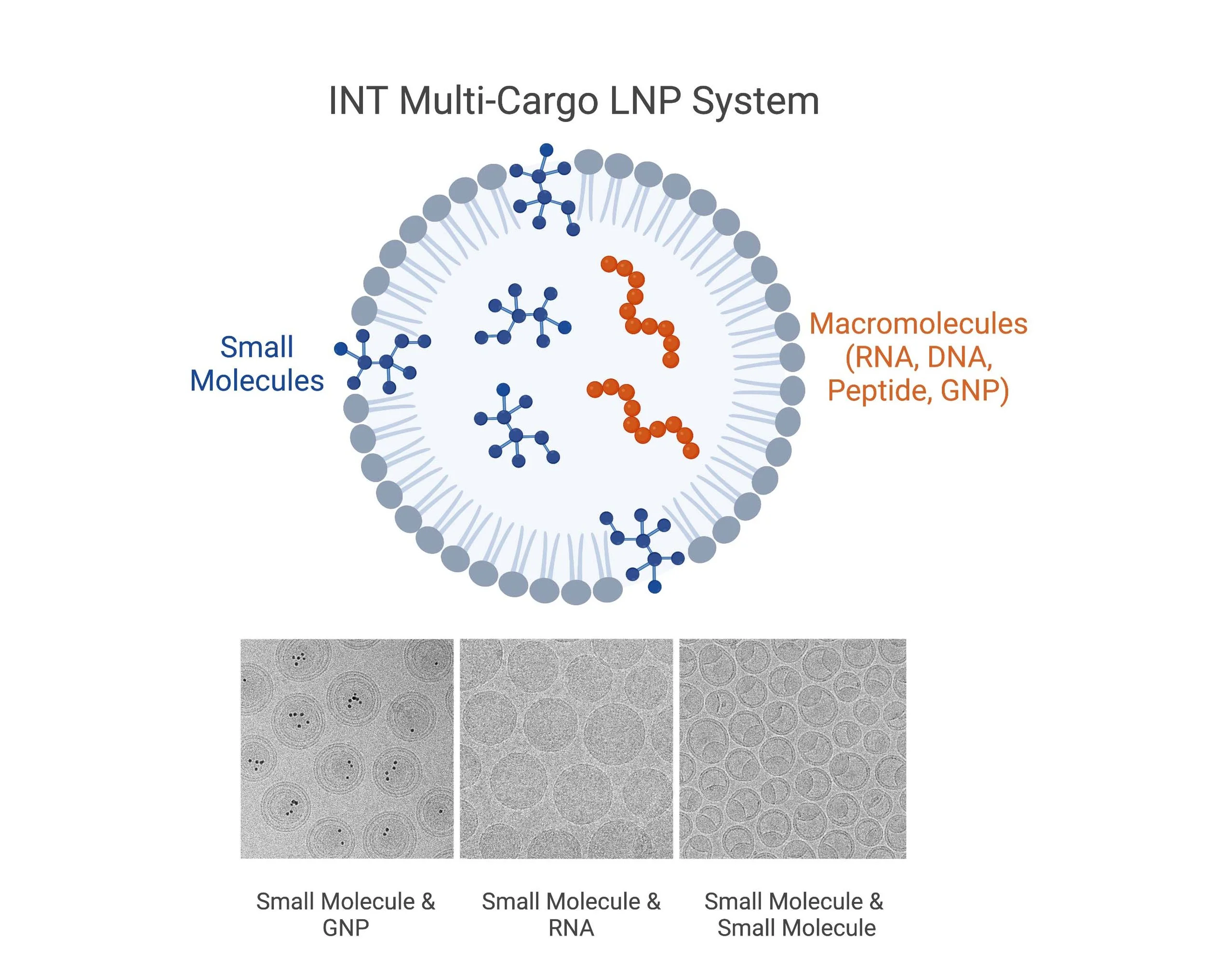 Drug Delivery Platform — Integrated Nanotherapeutics