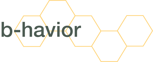 b-havior I Brian Bergeron I Creative Director