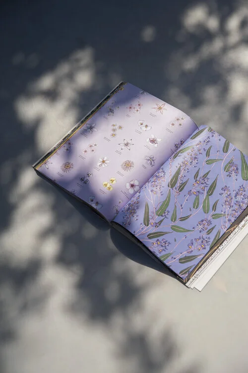 Botanicals by Edith Rewa : All Wrapped Up : Hardie Grant Egmont — Edith ...