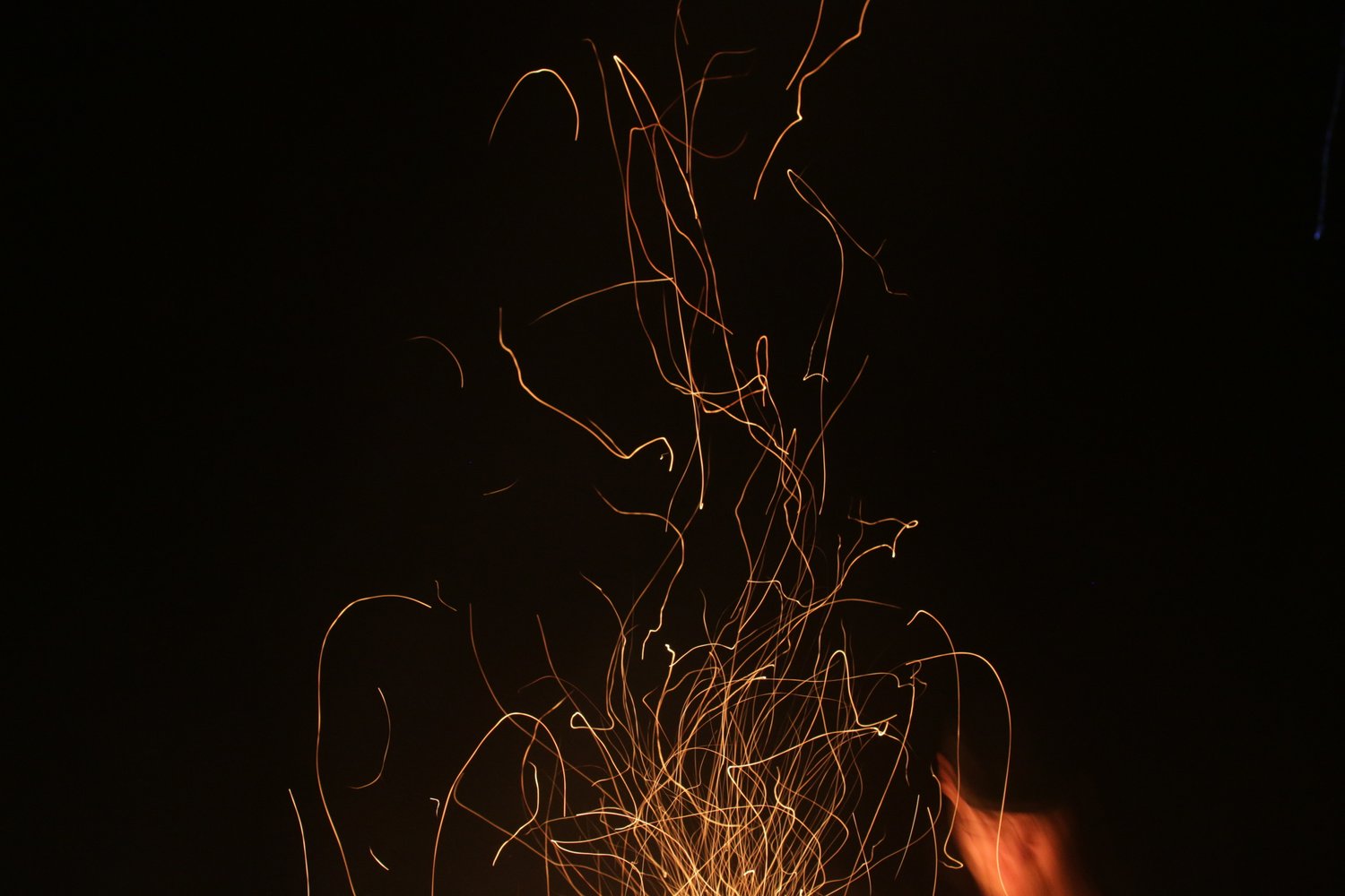 Home — Scintillate