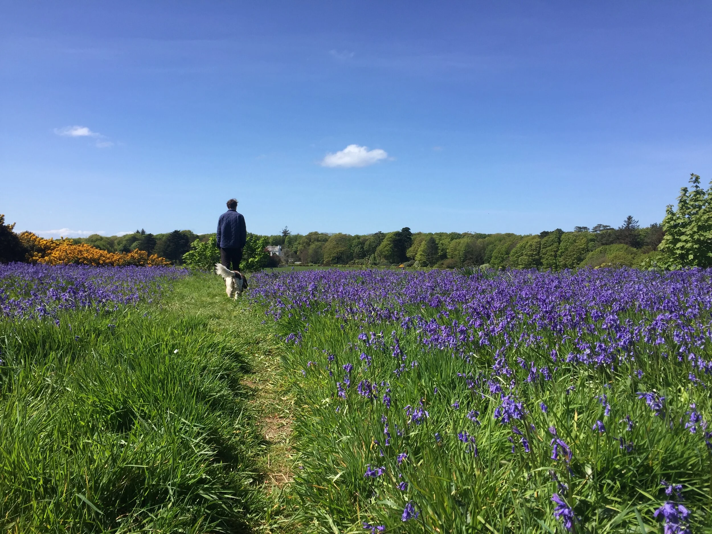 Ardwell Seaside Chalets