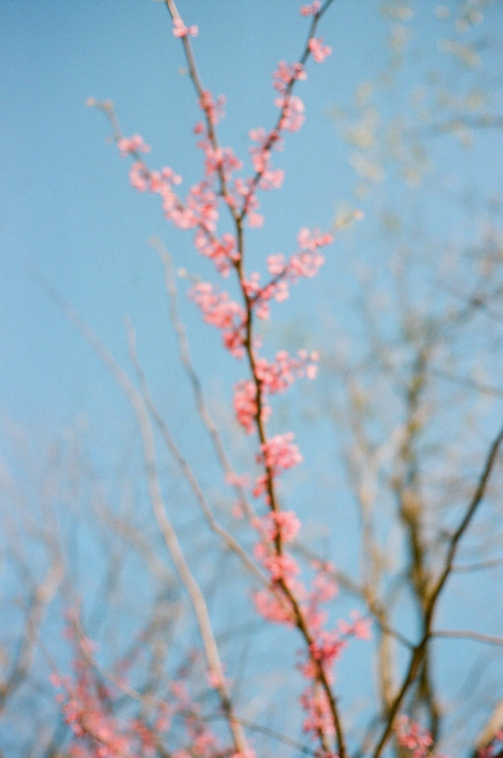 Stills — Meredith M Howard