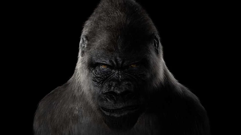 james buran • creative director