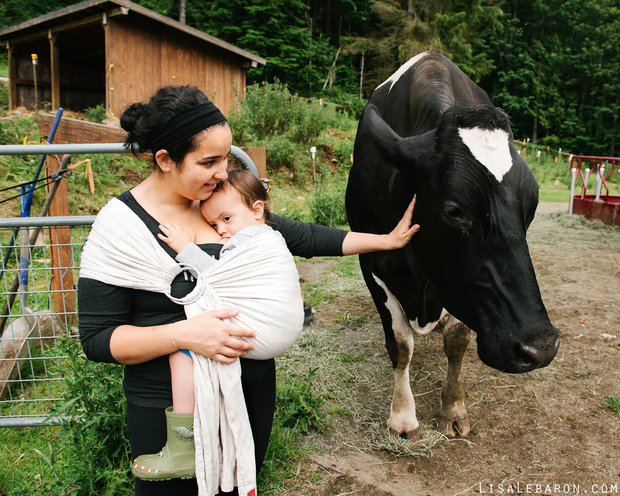 2016 Breastfeeding Contest Entries — Birth Becomes You - Resources and ...