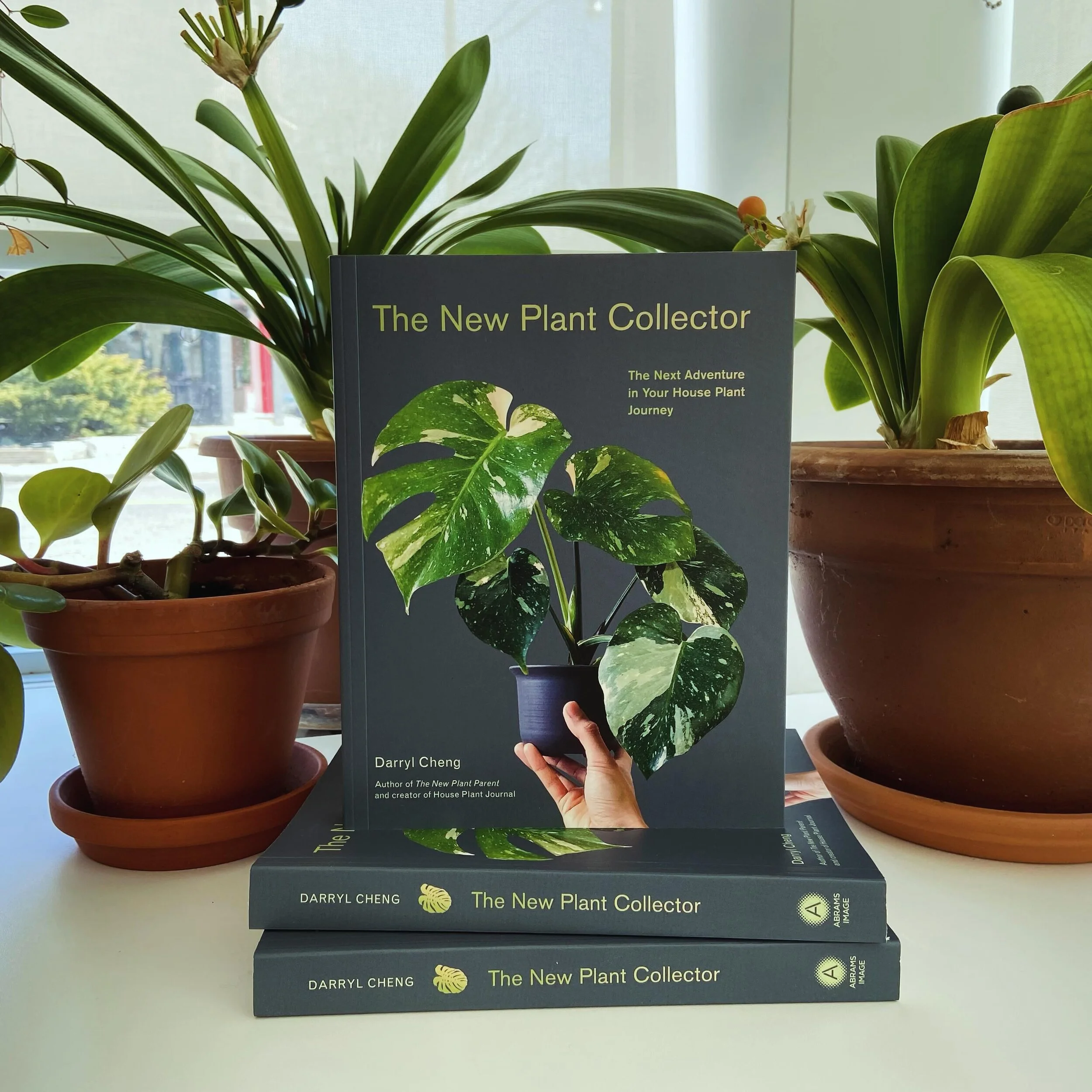 Resource Links — Manda Group