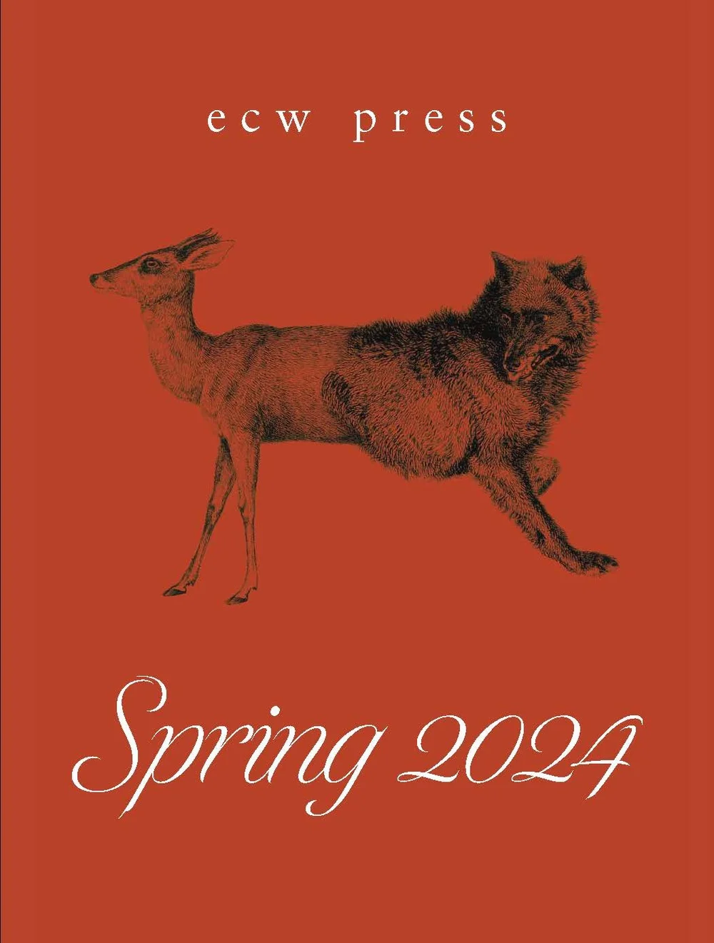 Catalogues — Manda Group